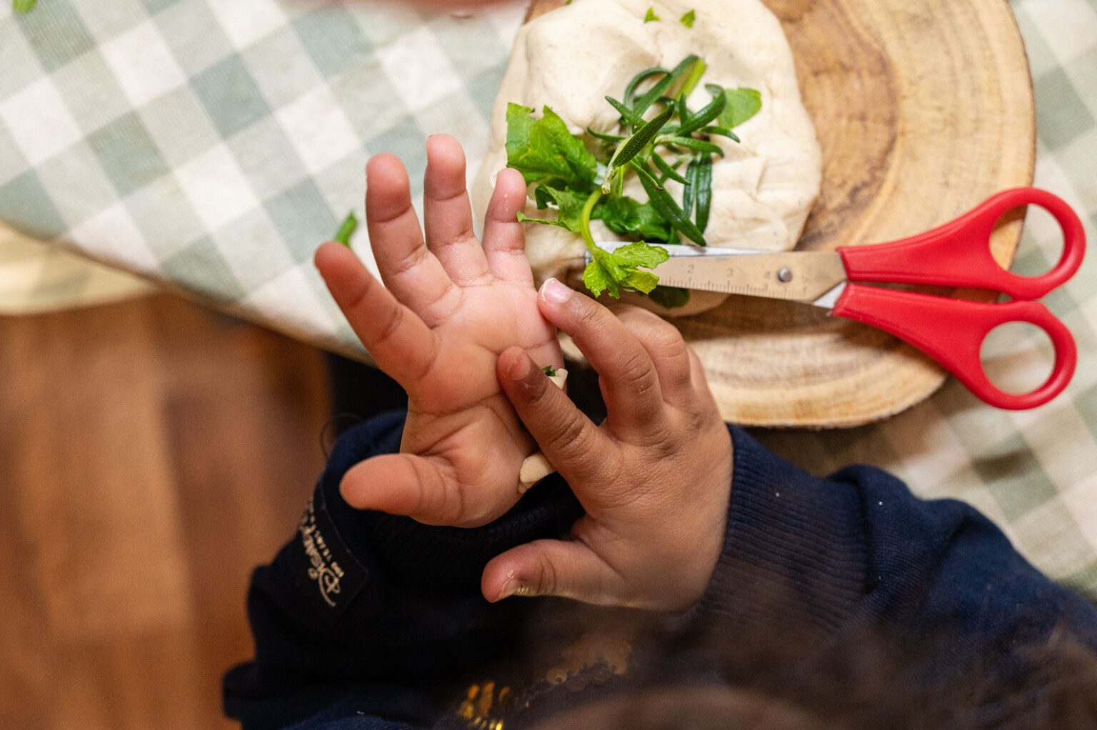 Birkbees – Day Care – Out of School Club